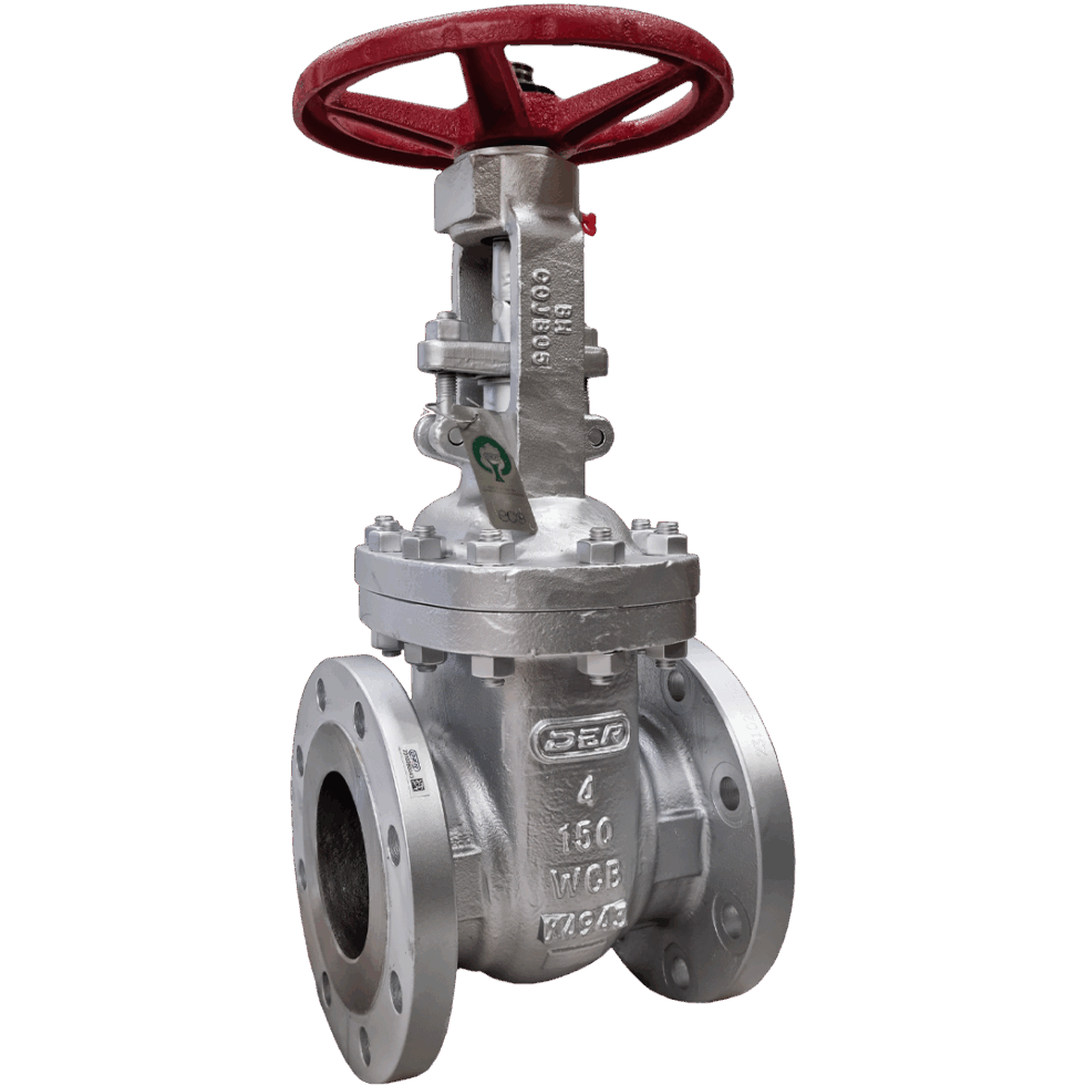 Derval srl - Industrial Valves Solutions for Energy Applications